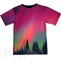 Northern Light T-Shirt - Men's